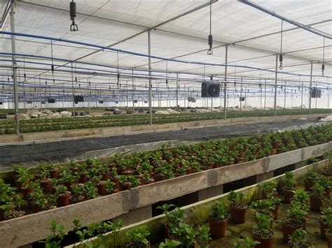 案例展示 山东飞龙控股集团