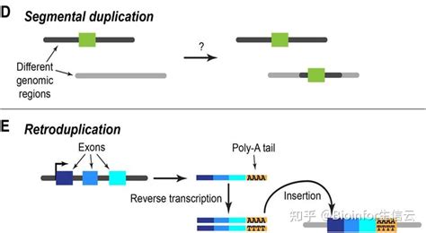 为什么要做基因家族（前言） 知乎