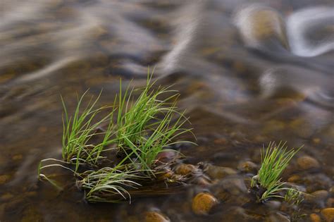 Bobolink Trail Boulder Colorado Hiking Bobolink Trail Boulder Colorado Hiking