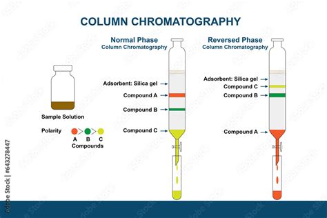 Illustration Of Normal Phase And Reversed Phase Column Chromatography