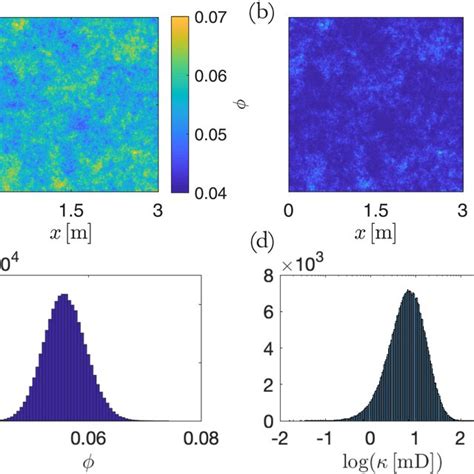 Klaus Holliger University Of Lausanne Lausanne Unil Institute Of
