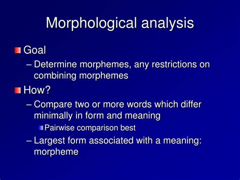 Morphology Examples