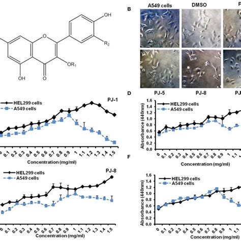 Flavonoid Glycosides Pjs Structure And Cell Proliferation Assay A Download Scientific