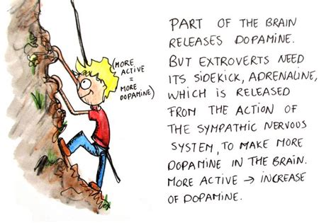 Why Extroverts Like Action And Introverts Like Calm The Brain Chemistry Behind Introversion And