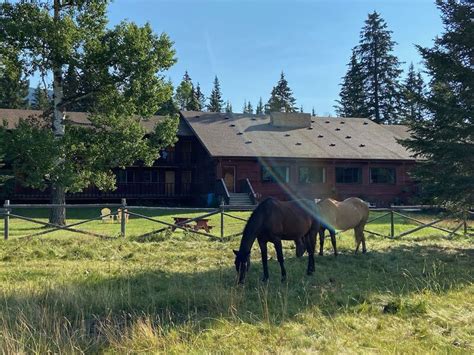 Fergus Mcsween On Linkedin It Was A Great Time Being Able To Contribute To The University Of