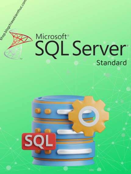 Key Sql Server Standard Giá Rẻ Chính Hãng 2017 2019