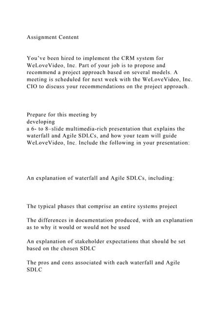 Assignment Contentyouve Been Hired To Implement The Crm Systedocx