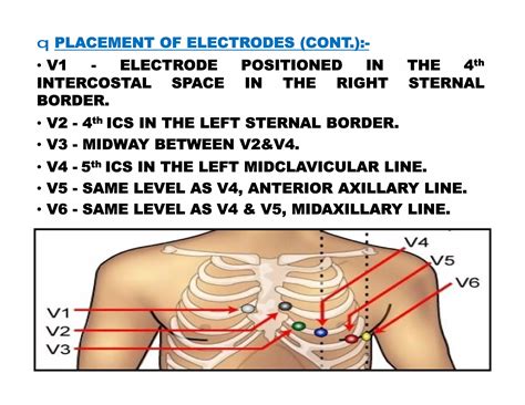 Procedure Of Recording Ecg Pdf