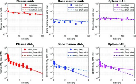 Simplified Two Pore Theory Model Based Characterization Of