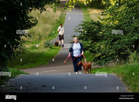 Best Places To Walk Dog London At Dakota Frith Blog