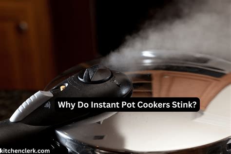 Why Do Instant Pot Cookers Stink 5 Possible Reasons