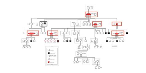 Tom Sawyer Software On Linkedin Complexity Analytics Systemsthinking Dataviz