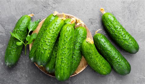 11 Unusual Cucumber Varieties Crate And Basket 11 Unusual Cucumber Varieties Crate And Basket