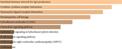 Compound Genomics Target Drug Prediction And Functional Analysis A Download Scientific
