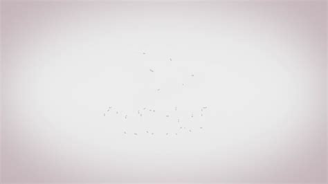 Ahmed Abdelhady Posted On Linkedin