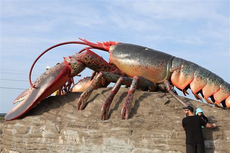 2 무료 Giant Lobster And 랍스터 이미지 Pixabay