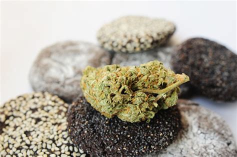 마리화나 꽃과 과자는 흰색 배경에 고립되어 있습니다 대마초 꽃과 쿠키가 클로즈업됩니다 대마 레크리에이션 칸나 부엌 오락 합법화 개념 0명에 대한 스톡 사진 및 기타 이미지