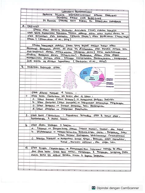 Lp Bela Cva Bleeding Pdf