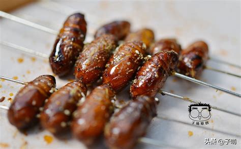 吃烧烤还要看东北的，烤蚕蛹看着吓人吃着却很有营养，有人敢吃吗 搜狐大视野 搜狐新闻