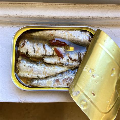 10 Wonderful Benefits Of Sardines