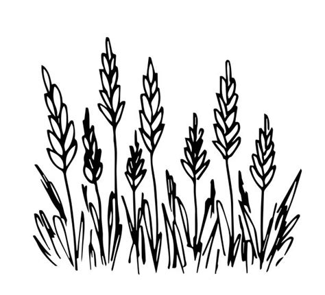 750개 이상의 가지별 꽃송이 일러스트 스톡 사진 그림 및 Royalty Free 이미지 Istock