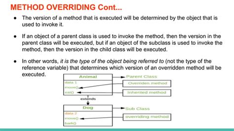 Polymorphism In Java Ppt