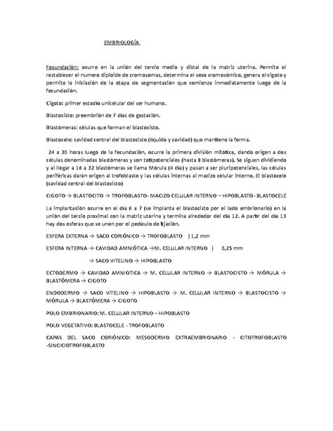 Resumen Embrio Fecundación Formación Del Cigoto Derivados Del