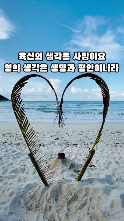 성경 구절 외워보자 로마서 8장 5절 6절 오늘 하나만 외워보자 성경 말씀 명언 좋은글 지혜 Youtube