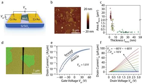 Investigation Of Mos2 Fets Fabricated By Snl A Schematic Diagram Of A Download Scientific