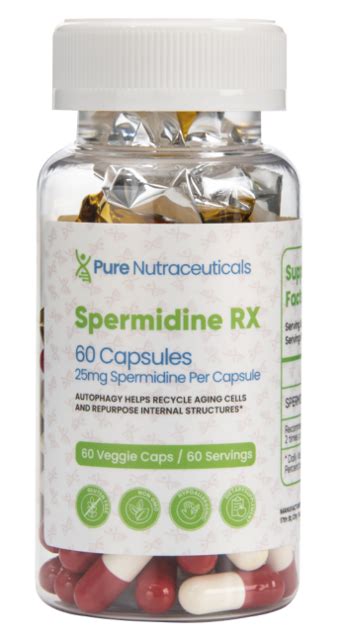 Спермидин: от нейропротекции до омоложения клеток — Teletype