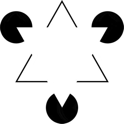 3d Ambiguous Figures