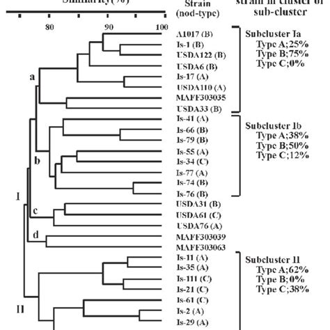 dendrogram constructed by the upgma cluster analysis from aflp