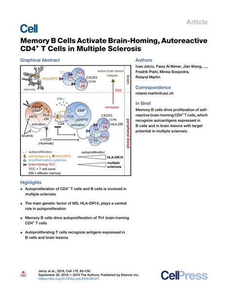 Memory B Cell Activation