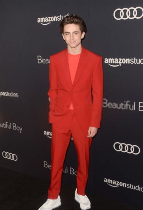 Timothee Chalamet Height Factors Affecting His Height Hood Mwr