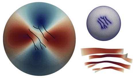 Planetary Geophysics Seismological Laboratory