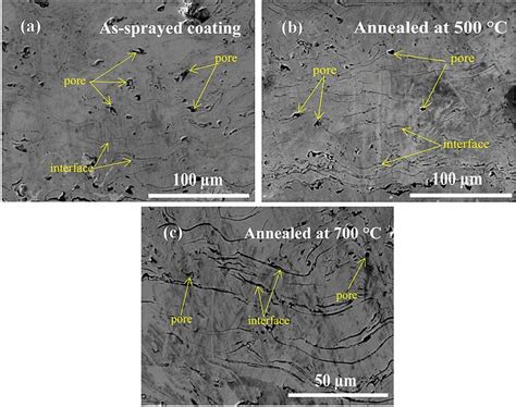 The Cross Sectional Microstructures Of The Coatings Download