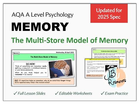 Memory The Multi Store Model Of Memory Aqa A Level Psychology