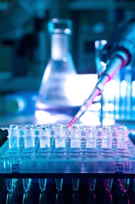 Mthfr C677t And A1298c Explained In Plain English Mthfr Mthfr C677t Mthfr Gene Mutation