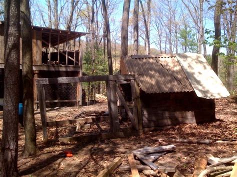 Redneck Chicken Coop At Horace French Blog