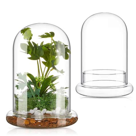 Glass Dome With Airhole Glass Cloche Bell Jar With Base Home Tabletop