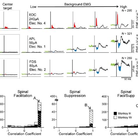 Directional Tuning Of The Stimulus Induced Wrist Torque A The Download Scientific Diagram
