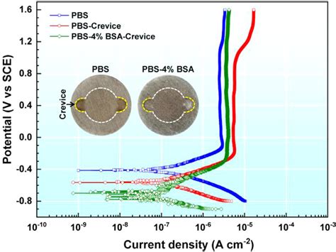 Potentiodynamic Polarization Curves For Ti6al4v Alloy With Artificial Download Scientific