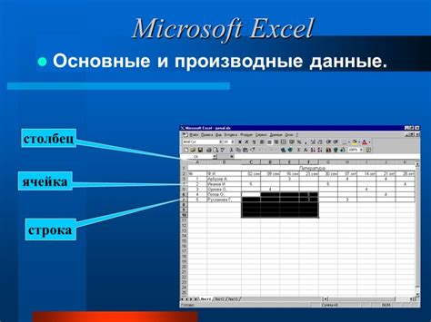 Презентация Электронные таблицы Ms Excel 7 класс по информатике