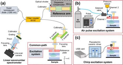Schematic Of The Optical Coherence Elastography Oce System With A Download Scientific