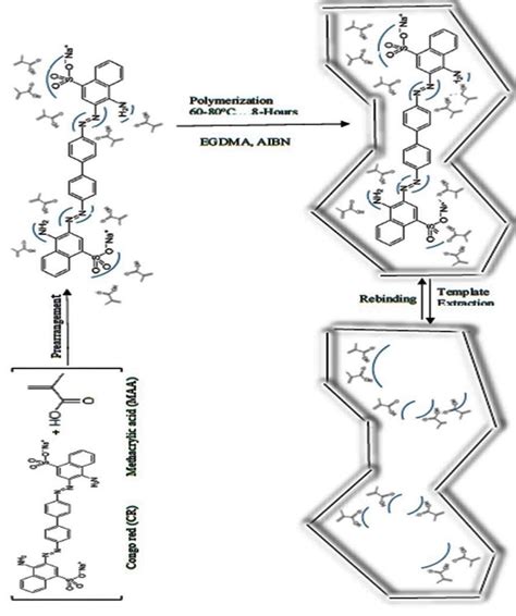 Schematic Representation For The Synthesis Of Mip With Cr As A Template