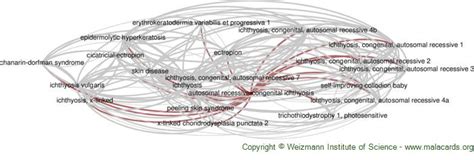 Autosomal Recessive Congenital Ichthyosis Disease Malacards Research Articles Drugs Genes