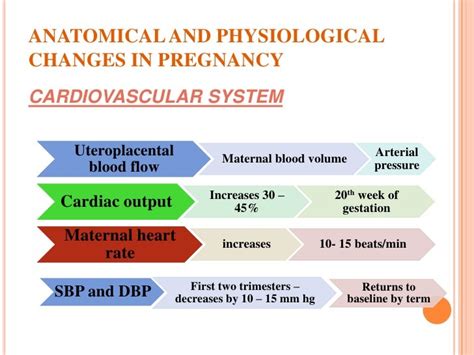 resuscitation in pregnancy dr krushna patel