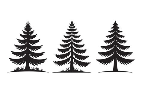Three Evergreen Trees Silhouette 69185090 Vector Art At Vecteezy
