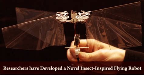 Researchers Have Developed A Novel Insect Inspired Flying Robot Assignment Point