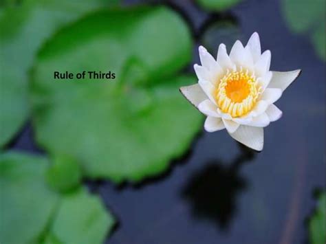 Compositional Slideshow Ppt